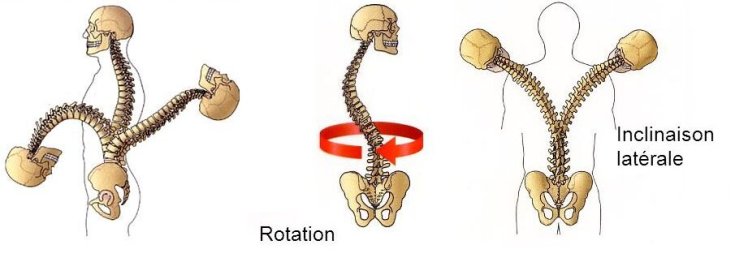 Dos et Yoga – Flexions, lumbago, lombalgies, hernie & Cie – Hatha Yoga ...